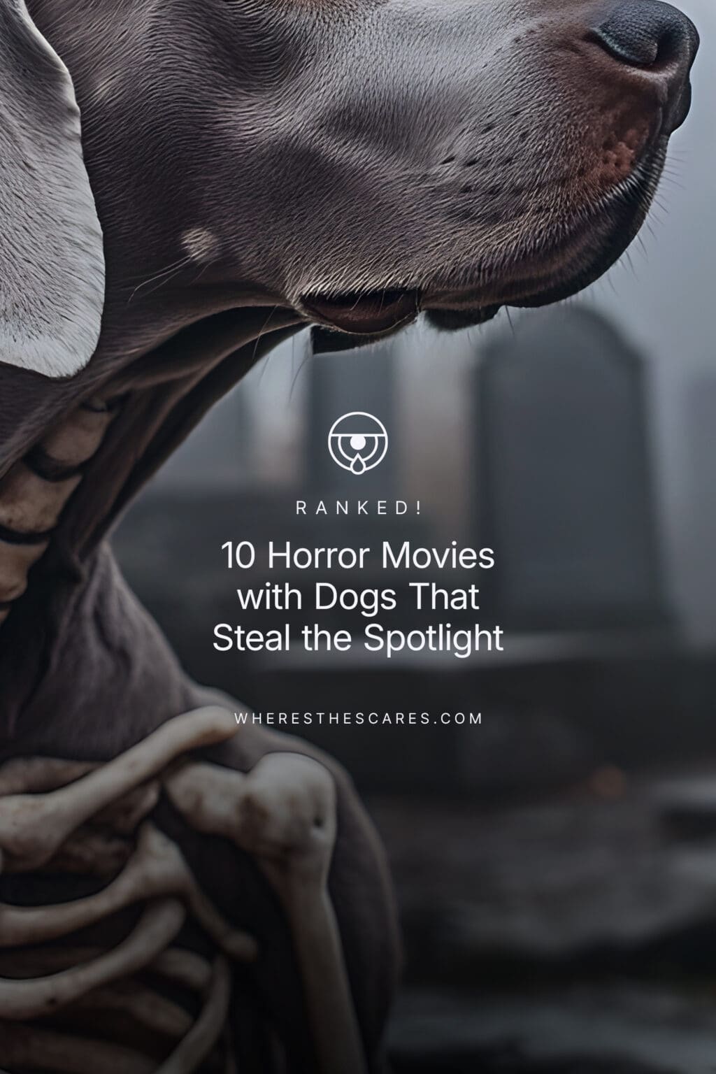 10 Horror Movies with Dogs that Steal the Spotlight | Where's The Scares?