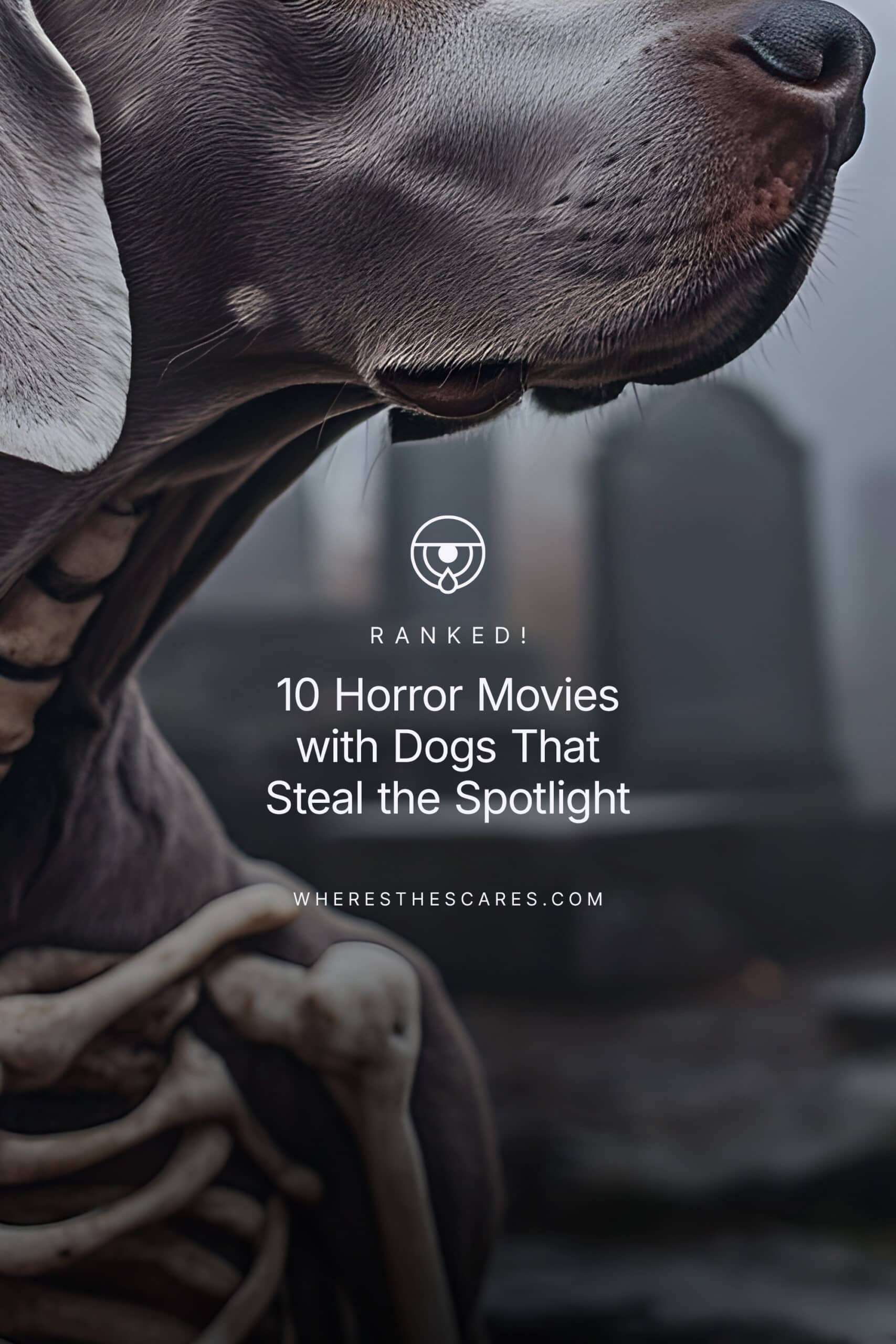 10 Horror Movies with Dogs that Steal the Spotlight | Where's The Scares?